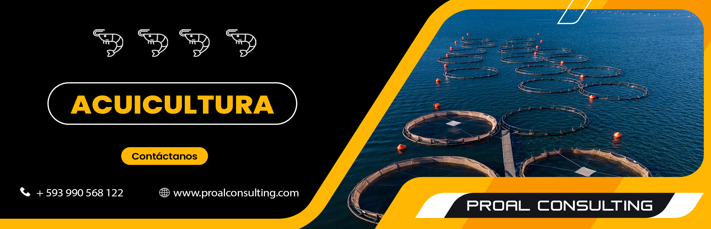 Página Principal | Aula Virtual PROALCONSULTING